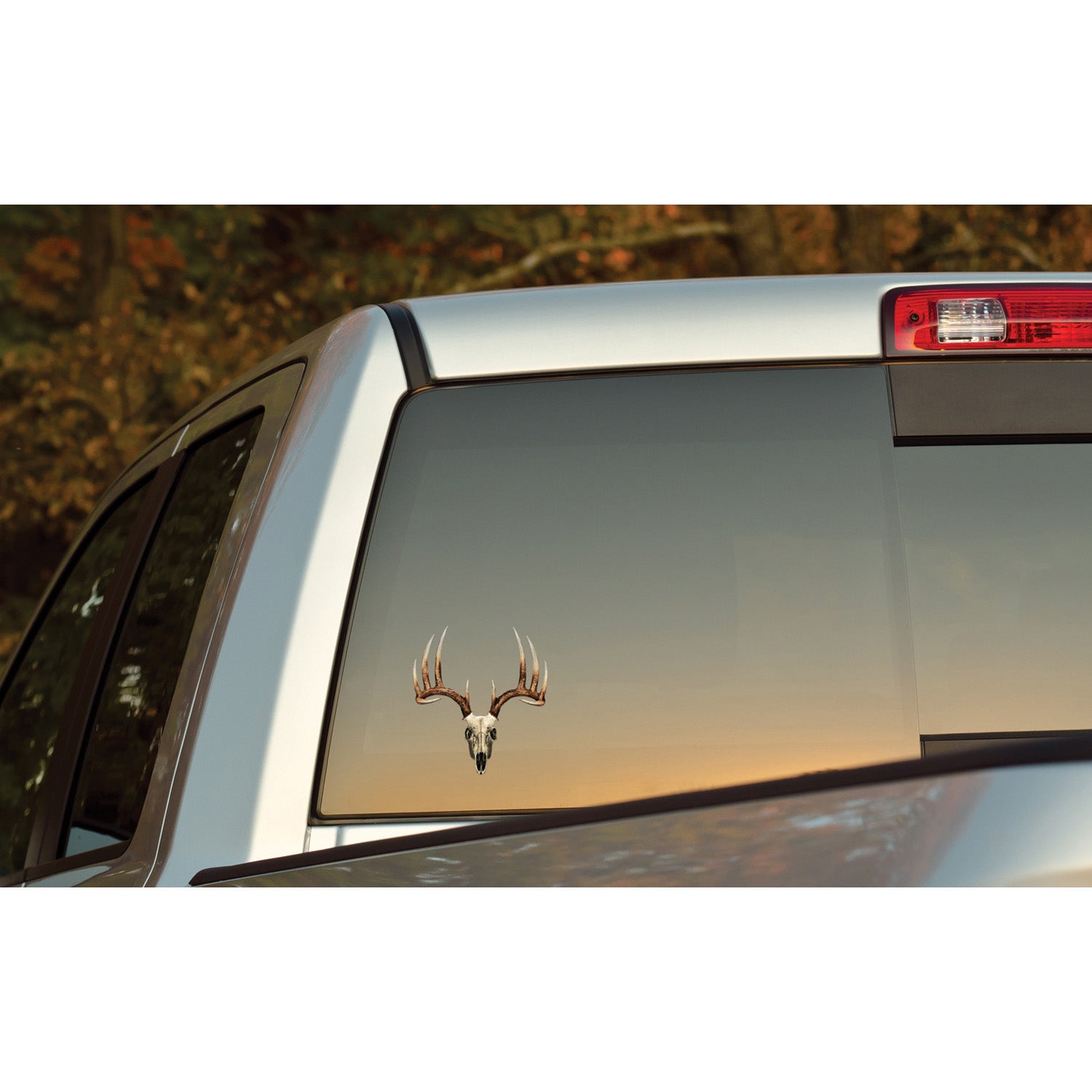 Whitetail Typical Skull Decal - Small – Mossy Oak Graphics